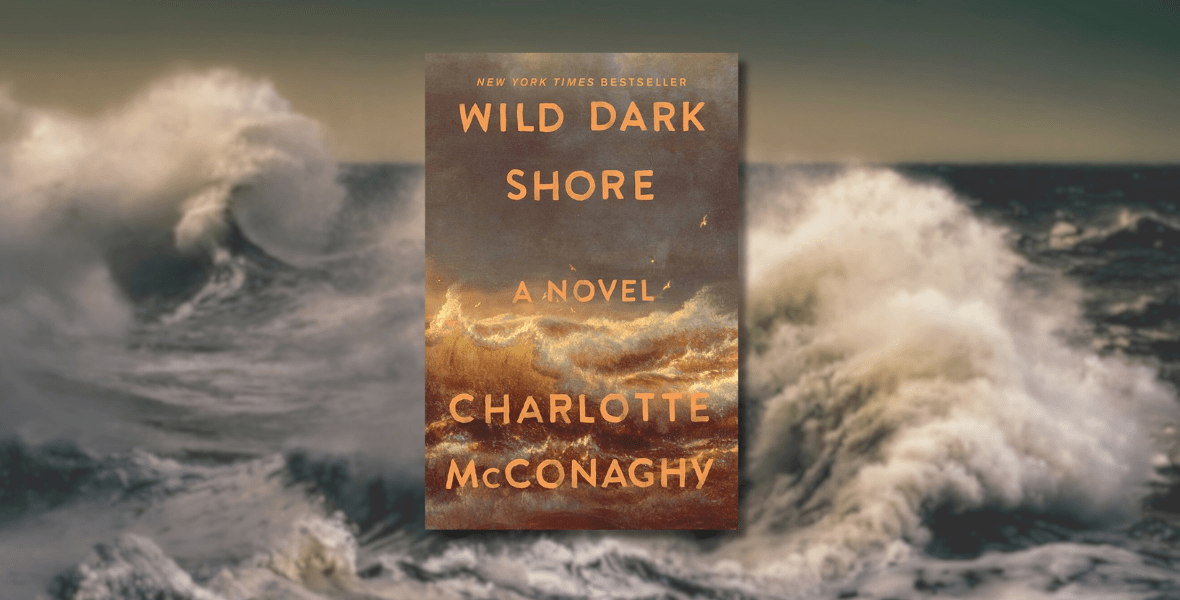 Wild Dark Shore: Where Family Bonds and the Fate of the Earth Collide ...